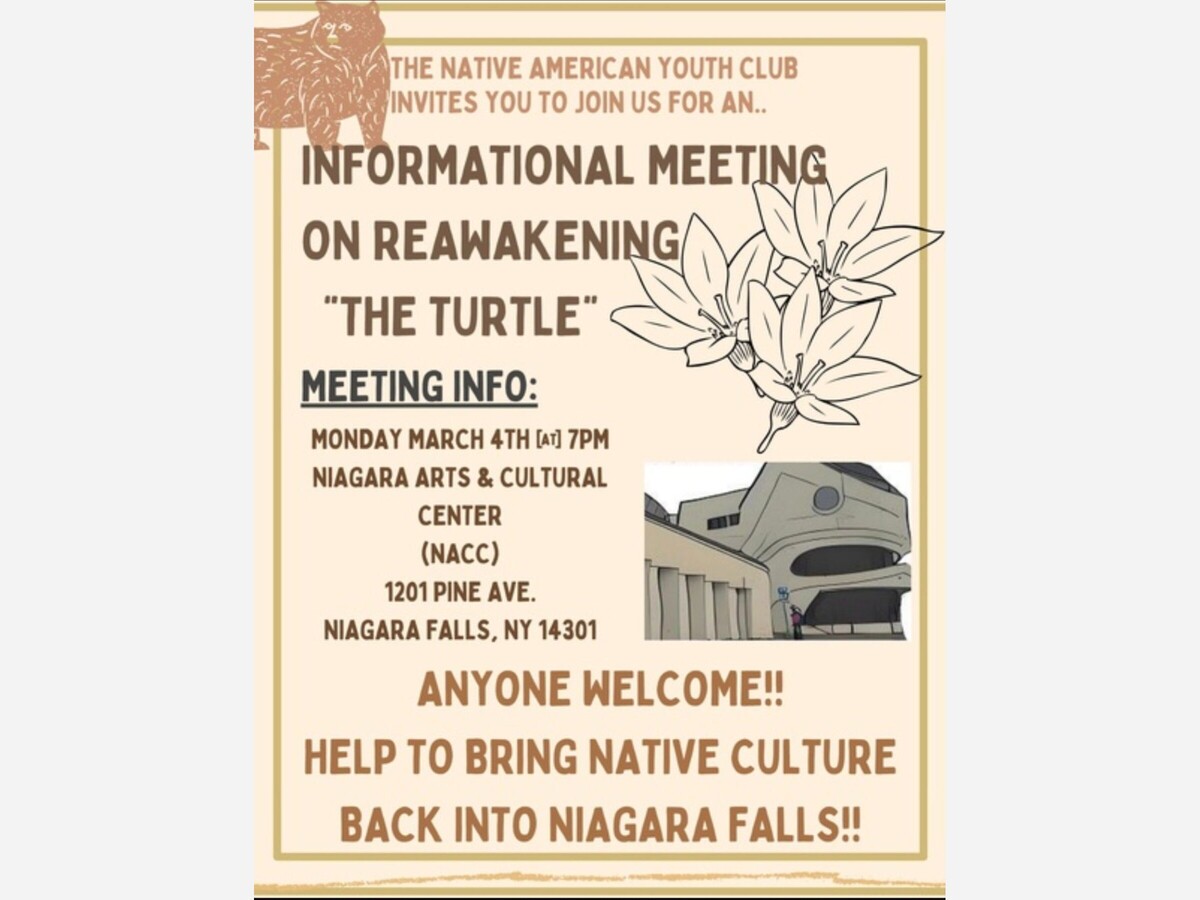 The Turtle speaks | Niagara Express